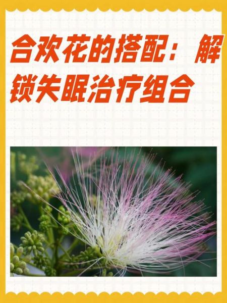 合欢花与什么搭配治失眠最佳_合欢花治失眠的配方-第1张图片-山城妙识 合欢花与什么搭配治失眠最佳_合欢花治失眠的配方-第1张图片-山城妙识