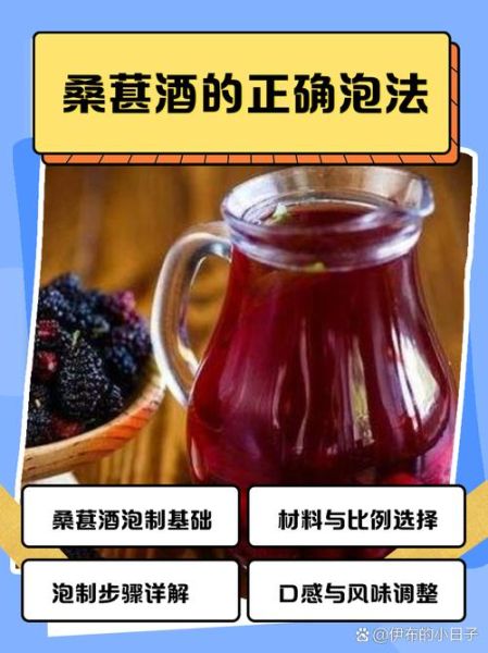 桑葚酒正宗制作方法_桑葚酒怎么做不苦涩-第1张图片-山城妙识