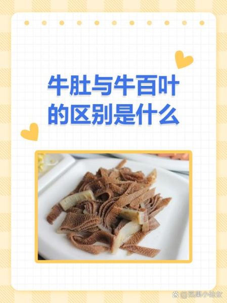 牛百叶是什么_牛百叶是牛的哪个部位-第2张图片-山城妙识