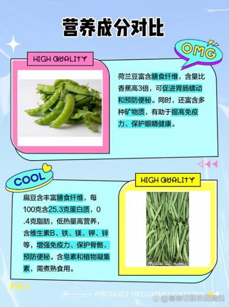 荷兰豆是中国豆吗_荷兰豆和中国豌豆的区别-第3张图片-山城妙识 荷兰豆是中国豆吗_荷兰豆和中国豌豆的区别-第3张图片-山城妙识