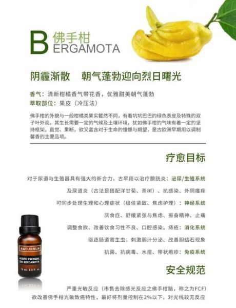 佛手柑香气是什么味道_佛手柑精油怎么闻最正宗-第3张图片-山城妙识