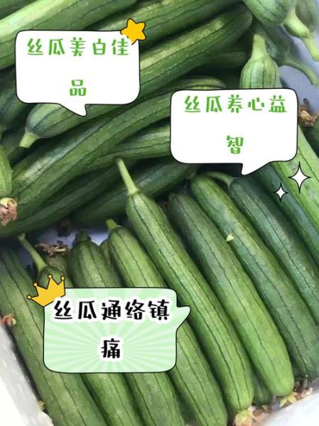 野丝瓜的功效与作用_野丝瓜怎么吃最好-第1张图片-山城妙识