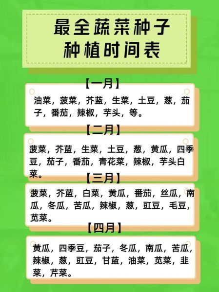 什么时候种菜最合适_春夏秋冬种菜时间表-第2张图片-山城妙识 什么时候种菜最合适_春夏秋冬种菜时间表-第2张图片-山城妙识