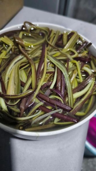 炒蕨菜怎么炒才好吃_蕨菜焯水几分钟去涩味-第2张图片-山城妙识