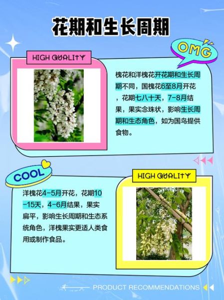 红槐花和紫槐花的区别_如何区分红槐花与紫槐花-第1张图片-山城妙识