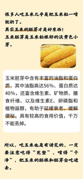 玉米的营养价值及功效_吃玉米能减肥吗-第1张图片-山城妙识 玉米的营养价值及功效_吃玉米能减肥吗-第1张图片-山城妙识