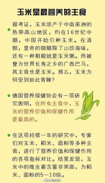 玉米的营养价值及功效_吃玉米能减肥吗-第3张图片-山城妙识 玉米的营养价值及功效_吃玉米能减肥吗-第3张图片-山城妙识