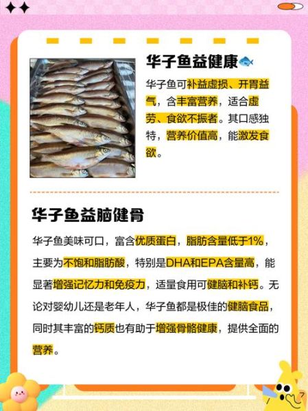 华子鱼学名叫什么鱼_华子鱼是淡水鱼吗-第2张图片-山城妙识