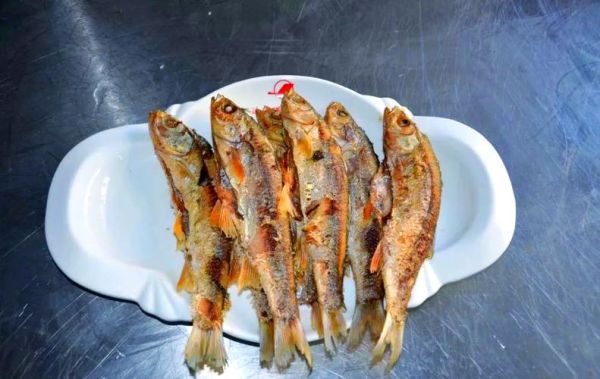 华子鱼学名叫什么鱼_华子鱼是淡水鱼吗-第3张图片-山城妙识