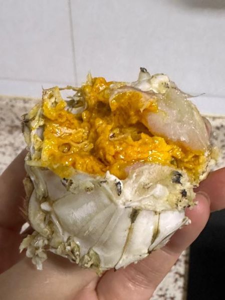 大闸蟹公蟹的膏是什么_公蟹膏高清图怎么看-第3张图片-山城妙识 大闸蟹公蟹的膏是什么_公蟹膏高清图怎么看-第3张图片-山城妙识