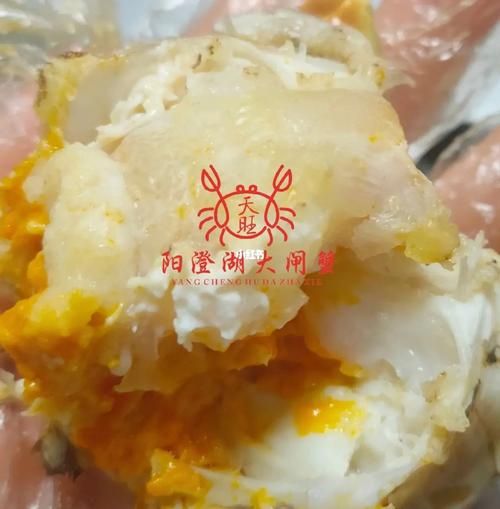 大闸蟹公蟹的膏是什么_公蟹膏高清图怎么看-第2张图片-山城妙识 大闸蟹公蟹的膏是什么_公蟹膏高清图怎么看-第2张图片-山城妙识