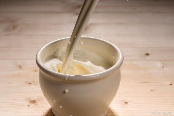 姜撞奶味道怪吗_姜撞奶为什么有辛辣味-第2张图片-山城妙识