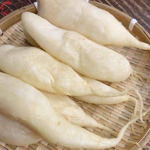 菜头是什么菜_菜头与萝卜区别-第1张图片-山城妙识 菜头是什么菜_菜头与萝卜区别-第1张图片-山城妙识