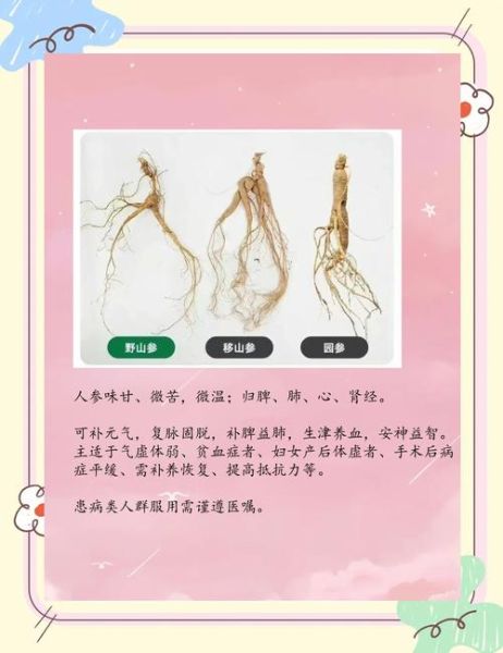 野山参的功效与作用及禁忌_哪些人不能吃-第1张图片-山城妙识