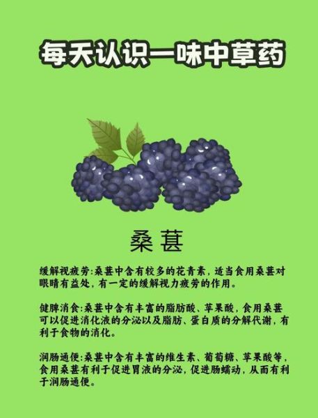 桑葚的功效与作用是什么_桑葚怎么吃效果最好-第1张图片-山城妙识 桑葚的功效与作用是什么_桑葚怎么吃效果最好-第1张图片-山城妙识