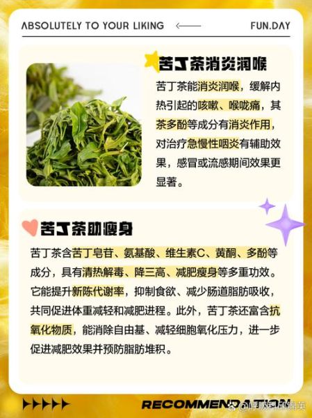 喝苦丁茶有什么好处_苦丁茶的功效与作用-第2张图片-山城妙识