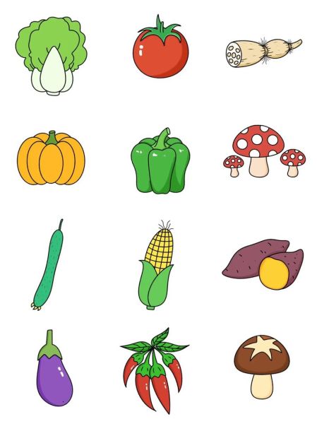 蔬菜简笔画带颜色怎么画_蔬菜简笔画涂色技巧-第2张图片-山城妙识