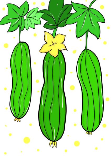 蔬菜简笔画带颜色怎么画_蔬菜简笔画涂色技巧-第1张图片-山城妙识