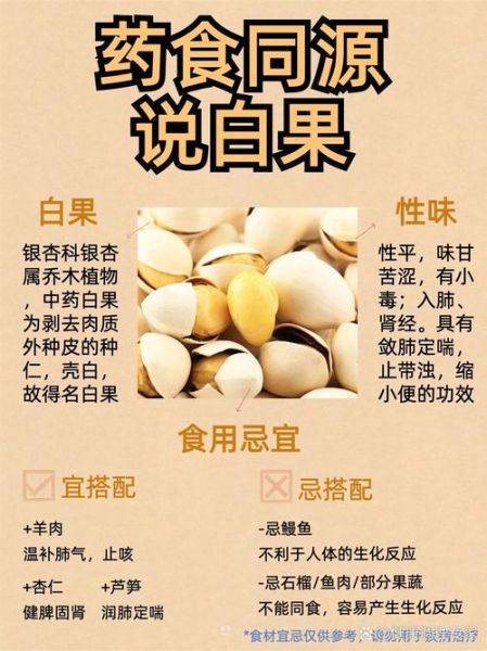 白果的功效与副作用_白果一天吃多少粒最安全-第1张图片-山城妙识