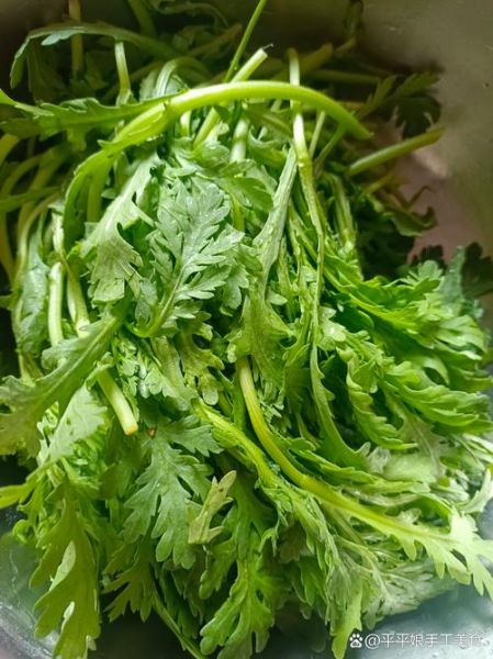 茼蒿做馅用焯水吗_不焯水会苦吗-第3张图片-山城妙识
