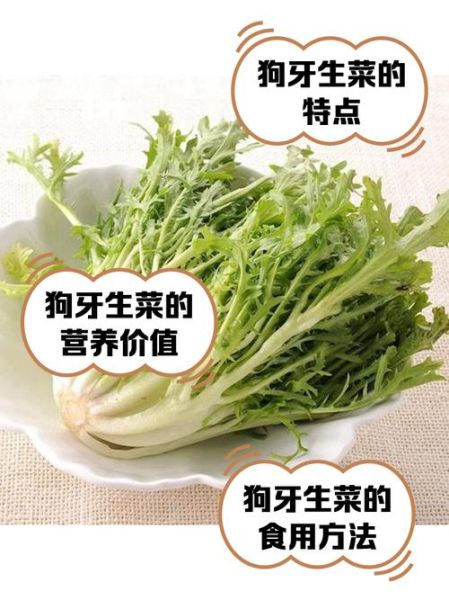狗能吃大头菜吗_狗吃大头菜安全吗-第2张图片-山城妙识 狗能吃大头菜吗_狗吃大头菜安全吗-第2张图片-山城妙识