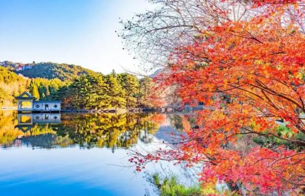 层林尽染是什么季节_最佳观赏时间-第1张图片-山城妙识