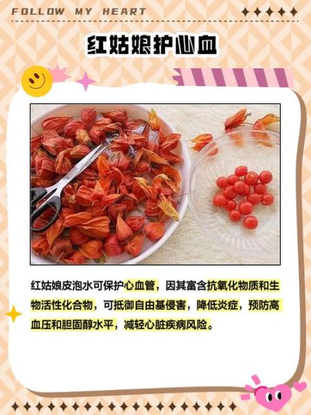 红姑娘皮泡水喝的功效_红姑娘皮泡水怎么喝-第1张图片-山城妙识