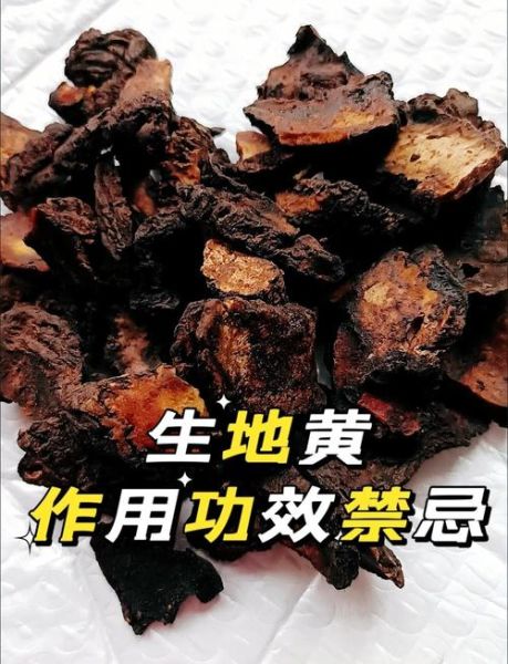 生地黄怎么泡水喝_生地黄泡水喝的正确方法-第1张图片-山城妙识