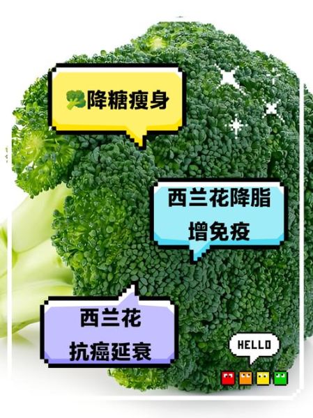 西兰花有什么功效_西兰花能减肥吗-第3张图片-山城妙识 西兰花有什么功效_西兰花能减肥吗-第3张图片-山城妙识