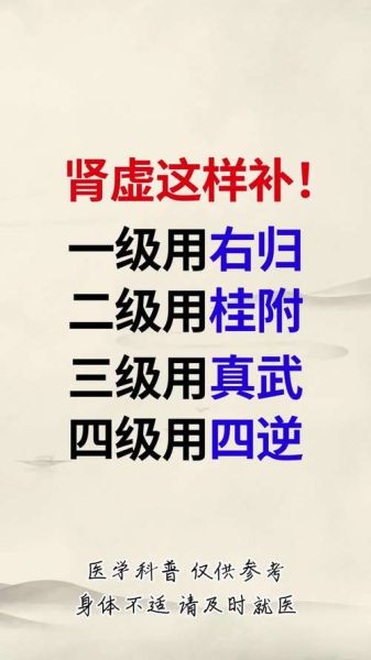 肾虚怎么调理_补肾虚的最佳方法-第1张图片-山城妙识