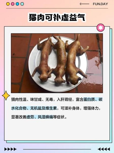 猫肉壮阳吗_猫肉能提高性功能吗-第1张图片-山城妙识 猫肉壮阳吗_猫肉能提高性功能吗-第1张图片-山城妙识