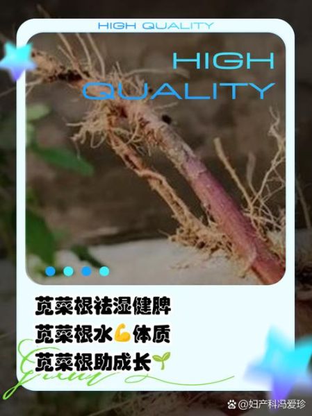苋菜长什么样_苋菜有什么功效-第3张图片-山城妙识 苋菜长什么样_苋菜有什么功效-第3张图片-山城妙识