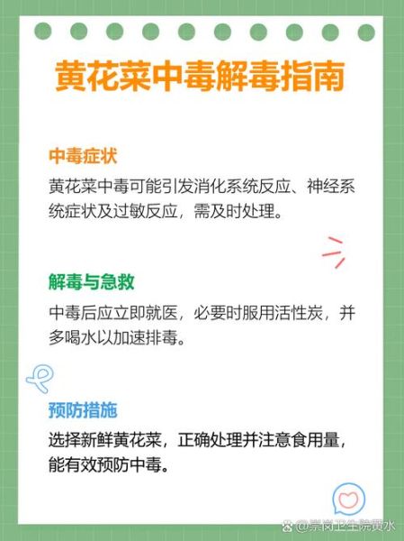 吃黄花菜中毒的症状_黄花菜中毒怎么办-第1张图片-山城妙识