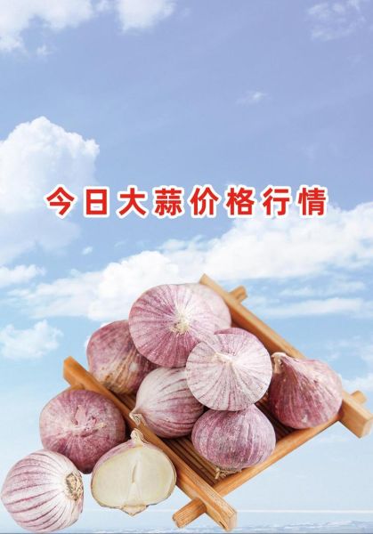 中牟大蒜今日价格_多少钱一斤-第1张图片-山城妙识