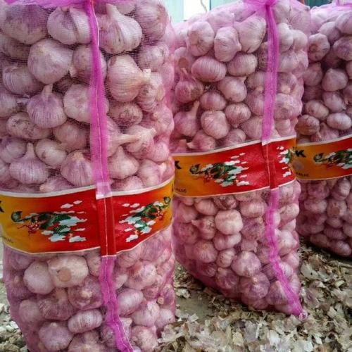 中牟大蒜今日价格_多少钱一斤-第2张图片-山城妙识