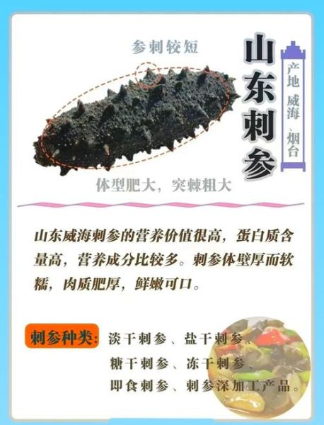 大连野生海参多少钱一斤_如何辨别真假-第1张图片-山城妙识
