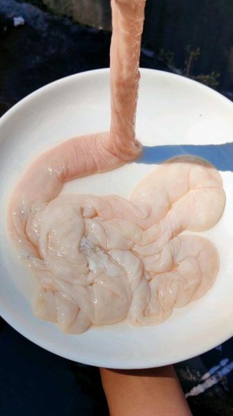 大肠刺身怎么做_安全吗-第3张图片-山城妙识