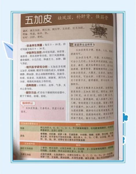 五加皮酒的功效与作用_五加皮酒怎么泡才正宗-第1张图片-山城妙识