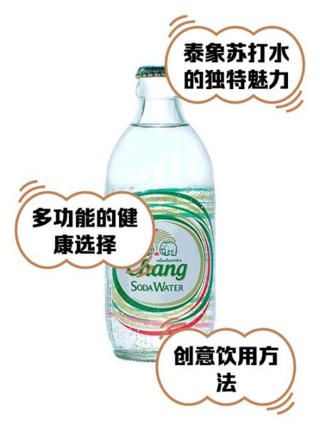 自制苏打水安全吗_买的苏打水健康吗-第1张图片-山城妙识 自制苏打水安全吗_买的苏打水健康吗-第1张图片-山城妙识