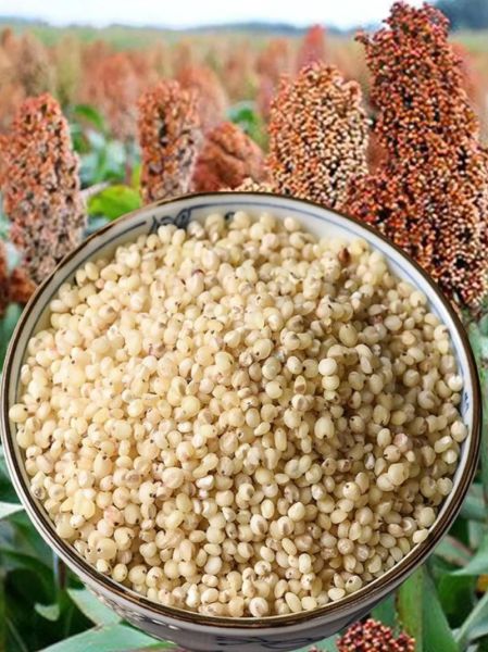 高粱米煮粥怎么煮_高粱米煮粥需要泡多久-第3张图片-山城妙识