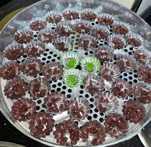 木薯粉怎么做好吃_木薯粉做法大全-第2张图片-山城妙识