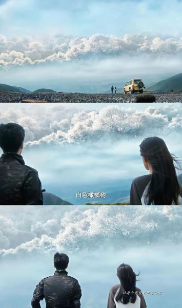 橄榄树电视剧剧情介绍_橄榄树电视剧大结局是什么-第1张图片-山城妙识