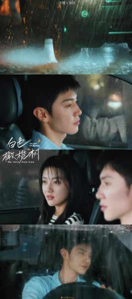 橄榄树电视剧剧情介绍_橄榄树电视剧大结局是什么-第2张图片-山城妙识