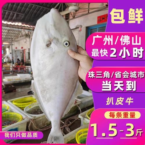 剥皮牛多少钱一斤_剥皮牛价格行情-第2张图片-山城妙识