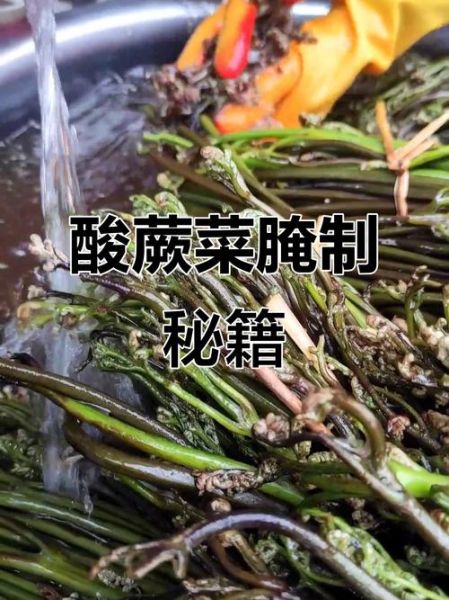 新鲜蕨菜怎么腌制_蕨菜腌制方法步骤-第1张图片-山城妙识