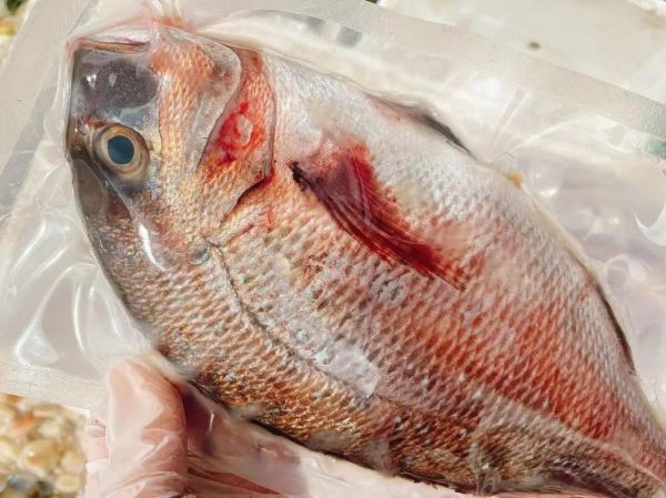 加吉鱼多少钱一斤_加吉鱼价格走势-第3张图片-山城妙识 加吉鱼多少钱一斤_加吉鱼价格走势-第3张图片-山城妙识