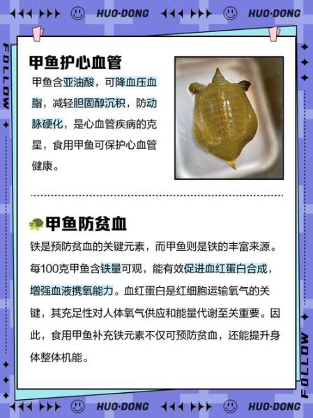 男人吃王八补什么_男人吃王八有什么好处-第1张图片-山城妙识 男人吃王八补什么_男人吃王八有什么好处-第1张图片-山城妙识