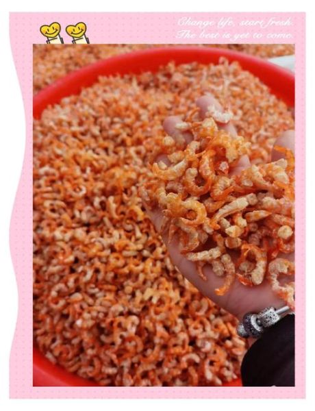 海米怎么泡发_海米怎么保存-第3张图片-山城妙识 海米怎么泡发_海米怎么保存-第3张图片-山城妙识