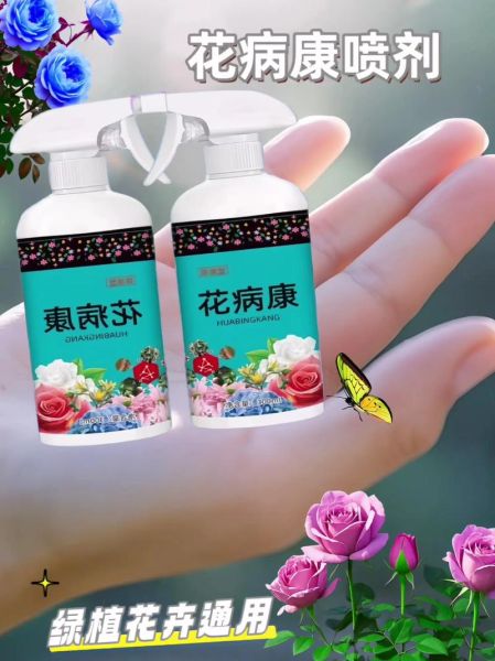 菜花病怎么治疗_菜花病用什么药最好-第2张图片-山城妙识 菜花病怎么治疗_菜花病用什么药最好-第2张图片-山城妙识
