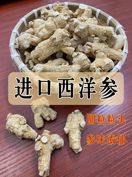 美国花旗参的功效与作用_适合哪些人吃-第3张图片-山城妙识